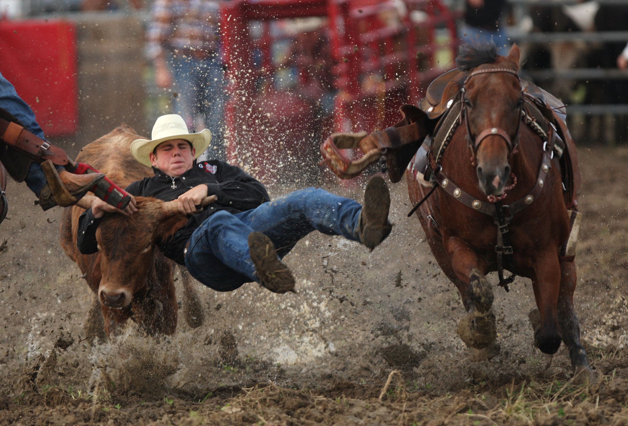 Rodeo – Busch Rodeo